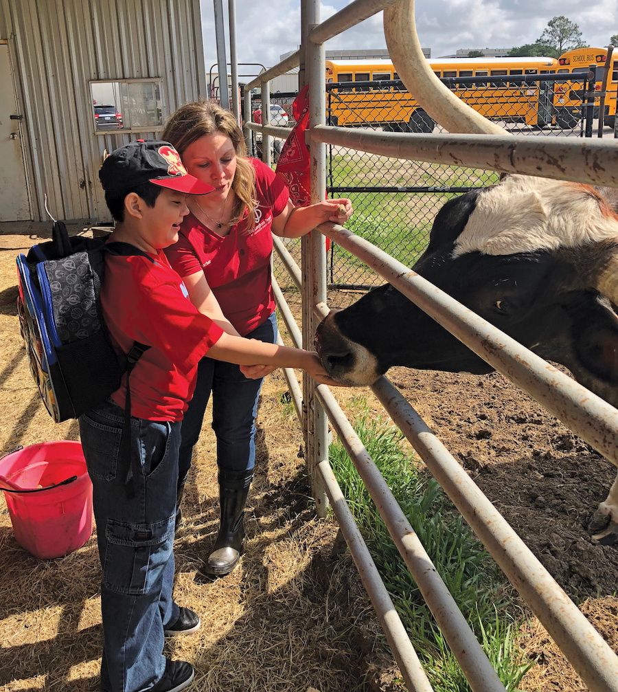 Educational School and Organizational Field Trips